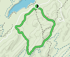 Tree Top Nature Trail, Alabama - 305 Reviews, Map | AllTrails