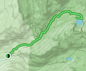 Gilpin Lake Trail: 451 Reviews, Map - Colorado | AllTrails