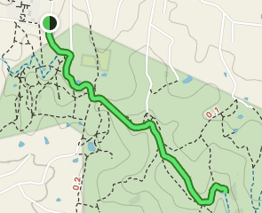 Poverty Gully Reservoir via Dry Diggings Track: 39 Reviews, Map ...