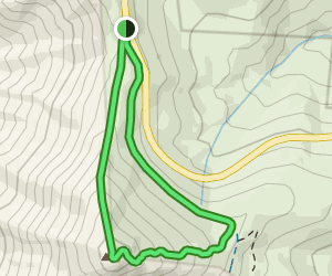 Blue Ridge Pinnacle Trail: 416 Reviews, Map - North Carolina | AllTrails