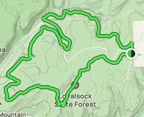 Old Loggers Path to Long Run Trail, Pennsylvania - 80 Reviews, Map ...