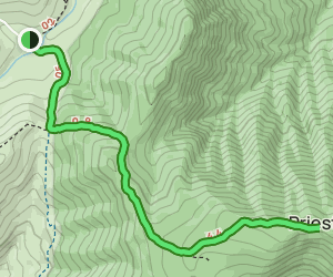 Priest Summit via Crabtree Meadows: 100 Reviews, Map - Virginia | AllTrails