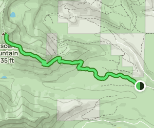 Crescent Mountain Trail: 175 Reviews, Map - Oregon | AllTrails
