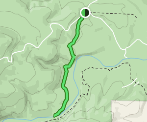 Goat Bluff Trail: 100 Reviews, Map - Arkansas | AllTrails