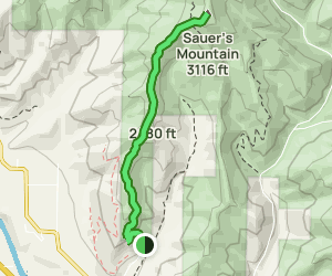 Sauer's Mountain: 1 411 bilder – Washington | AllTrails