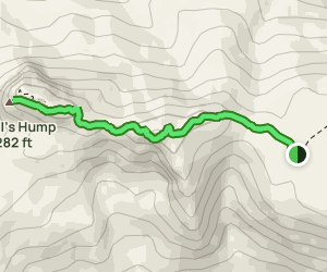 Camel's Hump: 76 Reviews, Map - British Columbia, Canada | AllTrails