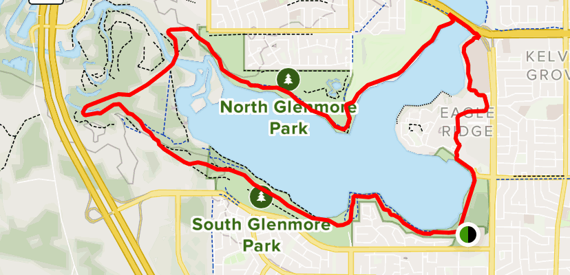 Are Dogs Allowed At South Glenmore Park