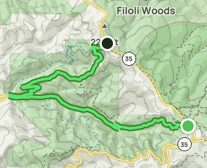 Bay Area Ridge Trail: Purisima Creek Redwoods, California - 78 Reviews ...