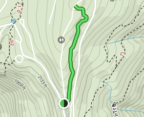 Cheaha Mountain (Alabama High Point), Alabama - 164 Reviews, Map ...