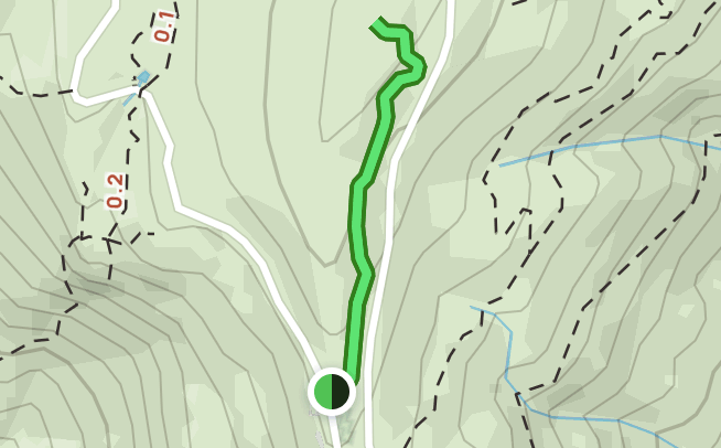 Lowest Elevation In Alabama