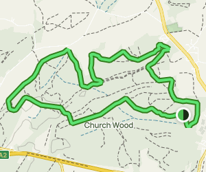 Blean Woods Black Trail: 119 Reviews, 204 Photos, Map - Kent, England ...