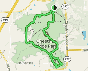Chestnut Ridge Orienteering and Boy Scout Trails, New York - 1,241 ...