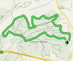 Blean Woods Black Trail: 125 Reviews, Map - Kent, England | AllTrails