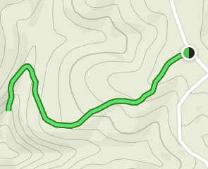 Pine Creek Falls Trail, Kentucky - 130 Reviews, Map | AllTrails