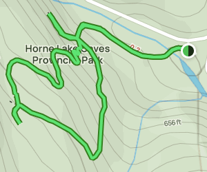 Horne Lake Caves Trail: 141 foto - Columbia Britannica, Canada | AllTrails