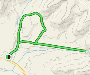 Winston Tunnel Trail: 101 Reviews, Map - Illinois | AllTrails