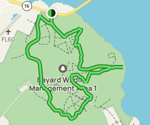 Bayard Conservation Area Loop: 451 foto - Florida | AllTrails