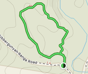 Big Scrub Loop - New South Wales, Australia | AllTrails