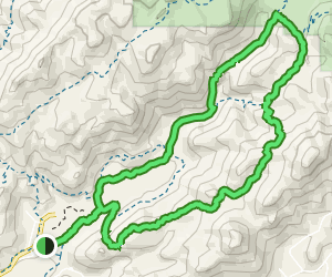 Wild Burro Loop: 580 Reviews, Map - Arizona | AllTrails