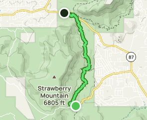 Pine - Strawberry Trail, Arizona - 178 Reviews, Map | AllTrails