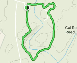 Lower Hill Trail Loop: 72 foto - Carolina del Nord | AllTrails