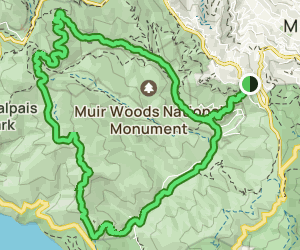 Dipsea, Muir Woods, Bootjack, Coastal, Redwood Creek Loop: 61 Reviews ...