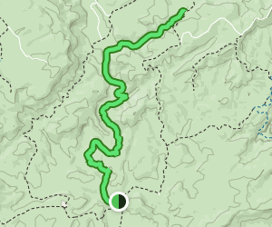 Broad River Trail: 76 Reviews, Map - Georgia | AllTrails