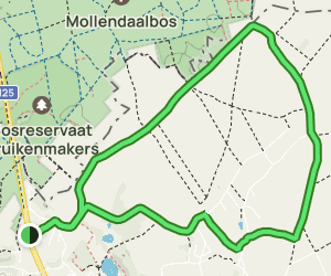 Hamme-Mille - Le Culot - Bosreservaat Veldkant - Renissart Rundweg, 19 ...