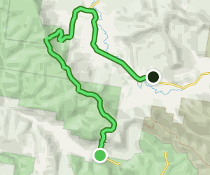 Great North Walk: Watagan Creek Road to Congewai East Track Head: 18 ...