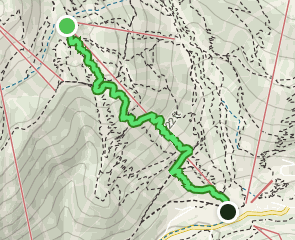 Route 66 MTB Trail, British Columbia, Canada - 5 Reviews, Map | AllTrails