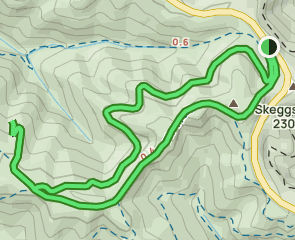 Fir Trail and Tafoni Trail, California - 614 Reviews, Map | AllTrails