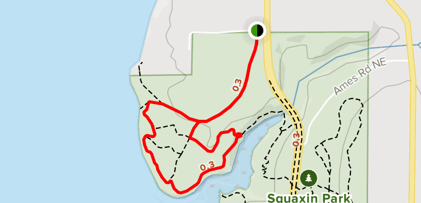 Are Dogs Allowed At Priest Point Park