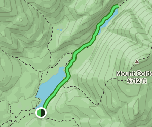 Lake Colden to Avalanche Lake: 21 Reviews, Map - New York | AllTrails