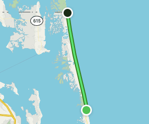 Corolla North Beach: 42 Reviews, Map - North Carolina | AllTrails