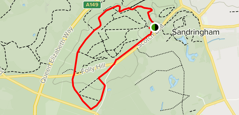 Is Sandringham Estate Dog Friendly