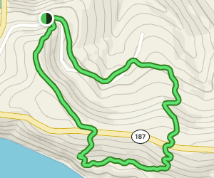 Dogwood Trail: 289 Reviews, Map - Arkansas | AllTrails