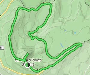 Larch Mountain Crater Loop: 708 Reviews, Map - Oregon | AllTrails