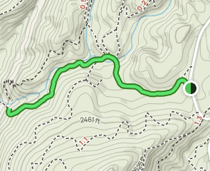 Beech Bottom Falls, South Carolina - 359 Reviews, Map | AllTrails