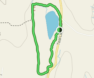 Teal Lake loop: 85 Reviews, Map - Washington | AllTrails