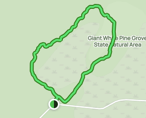Giant White Pine Loop, Wisconsin - 20 Reviews, Map | AllTrails