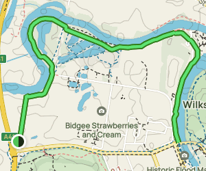 Marrambidya Wetlands via Wiradjuri Walking Track: 35 Reviews, Map - New ...