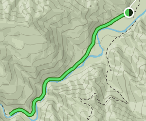 Mouse Creek Falls via Big Creek Trail: 2193 Reviews, Map - Tennessee ...