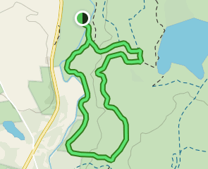 CCC Trail Loop, Connecticut - 403 Reviews, Map | AllTrails