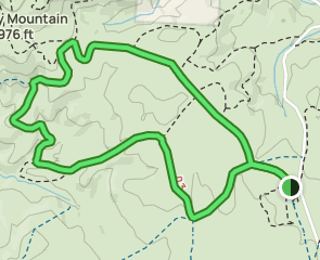 Hickory Mountain Road, Hooker Creek Trail, and White Pine Trail Loop ...