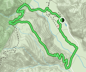 Whitewater Canyon View Loop Trail: 1272 Reviews, Map - California ...