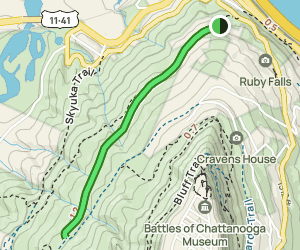 Upper Guild Trail: 410 Reviews, Map - Tennessee | AllTrails
