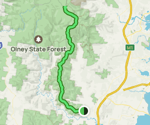 AllTrails | Watagan Forest Road: 16 Reviews, Map - New South Wales ...
