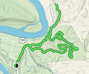 Point Trail to Wildcat Ridge Loop | Map, Guide - Virginia | AllTrails