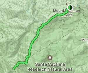 Mount Lemmon Trail: 78 Reviews, Map - Arizona | AllTrails