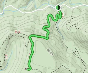 Wolf Rock Trail: 206 Reviews, Map - North Carolina | AllTrails